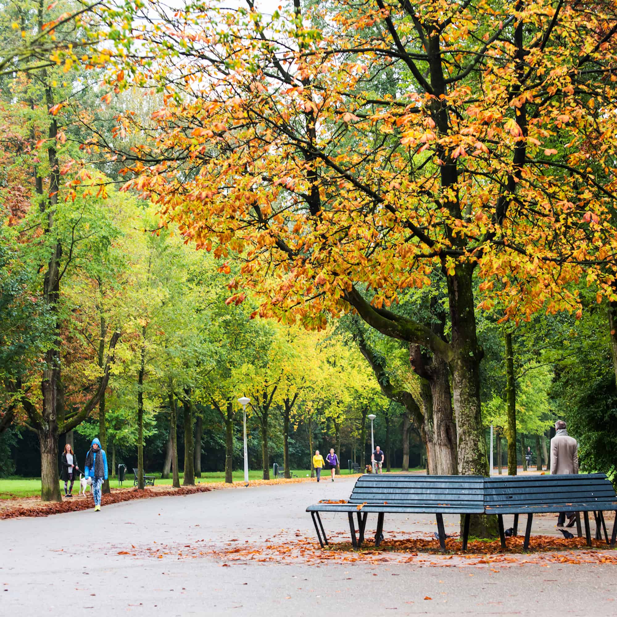 The Charm of Amsterdam's Mornings - Jan Luyken Amsterdam